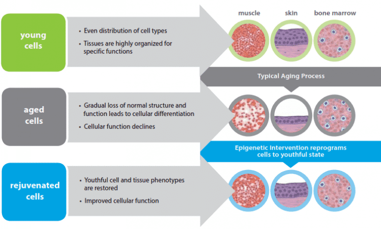 Promote Optimal Cell Health with Lunasin