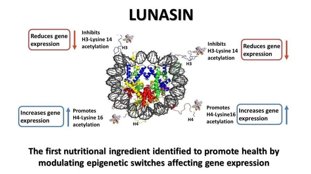 Lunasin and Epigenetics - You Can Take Control of Your Health!