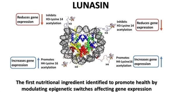 Lunasin and Epigenetics - You Can Take Control of Your Health!