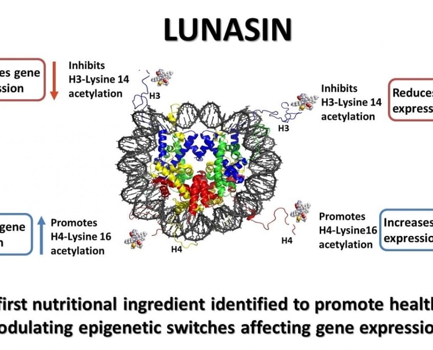 Lunasin and Epigenetics - You Can Take Control of Your Health!